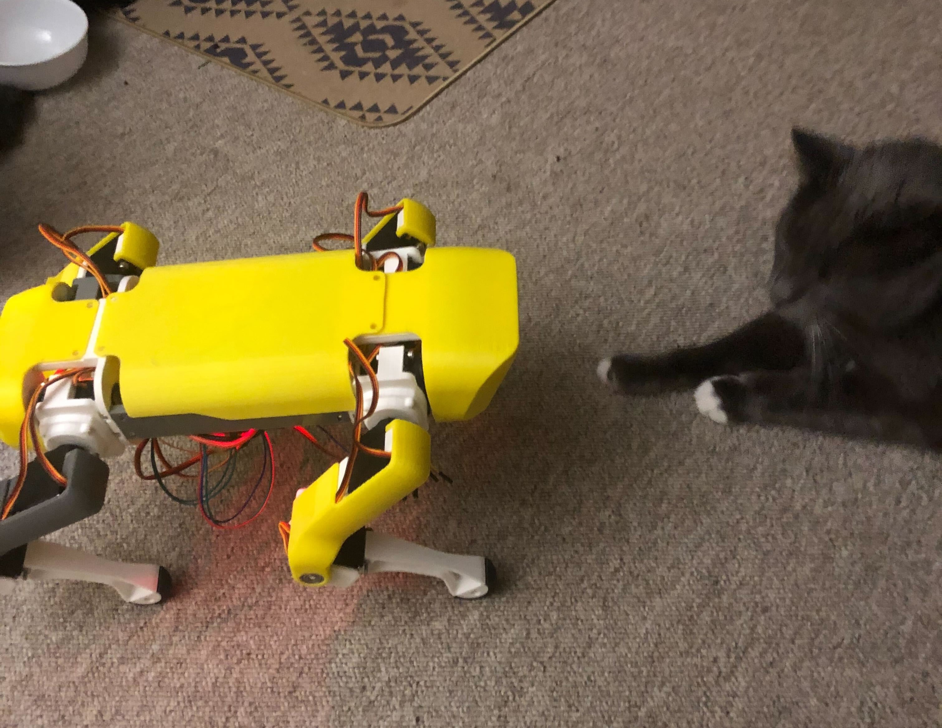 Edanjen Lin's Webpage